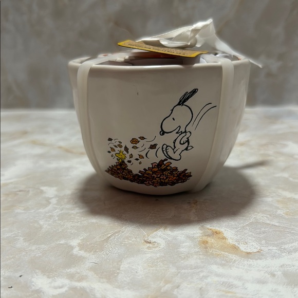 Rae Dunn | Kitchen | Peanuts Fall Theme Rae Dunn Measuring Cups | Poshmark